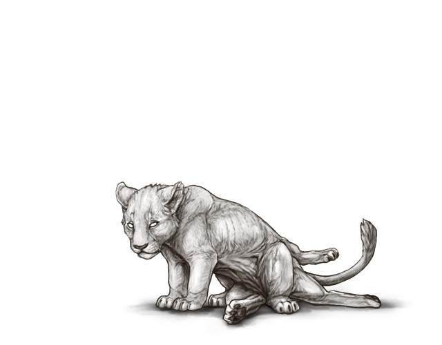 All Cub Lineart and Mutation Art :|: Lioden
