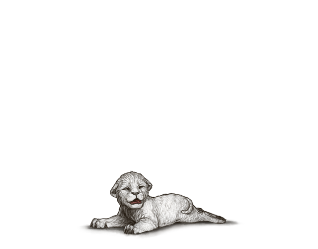 All Cub Lineart and Mutation Art :|: Lioden