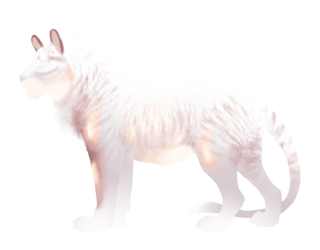 Real Leopon Wolf Dog