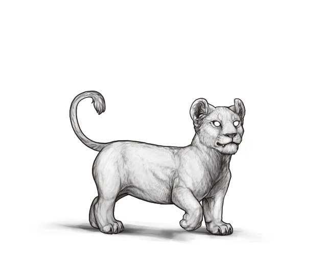 Poses and Mutations : Adolescent [March 6 2026] :|: Lioden