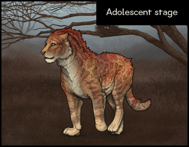 🦁Mngwa BREEDING information🦁 :|: Lioden